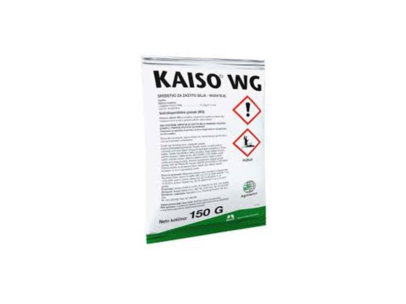 Kaiso WG | 5 g | in1005.1